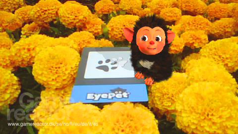EyePet - Gamereactor JP