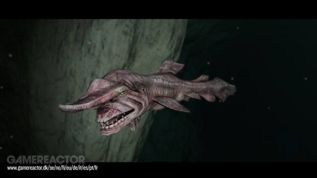 Endless Ocean Luminous レビュー - Gamereactor