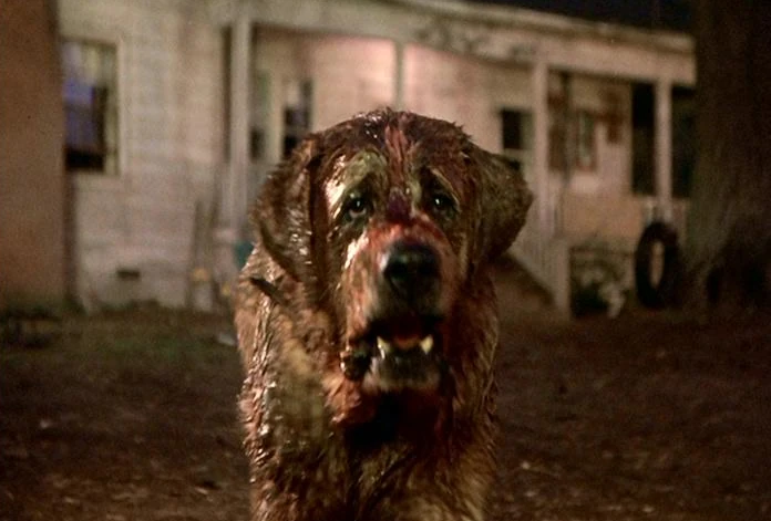 Netflix、スティーブン・キング監督の「Cujo」のリメイクを計画 - - Gamereactor